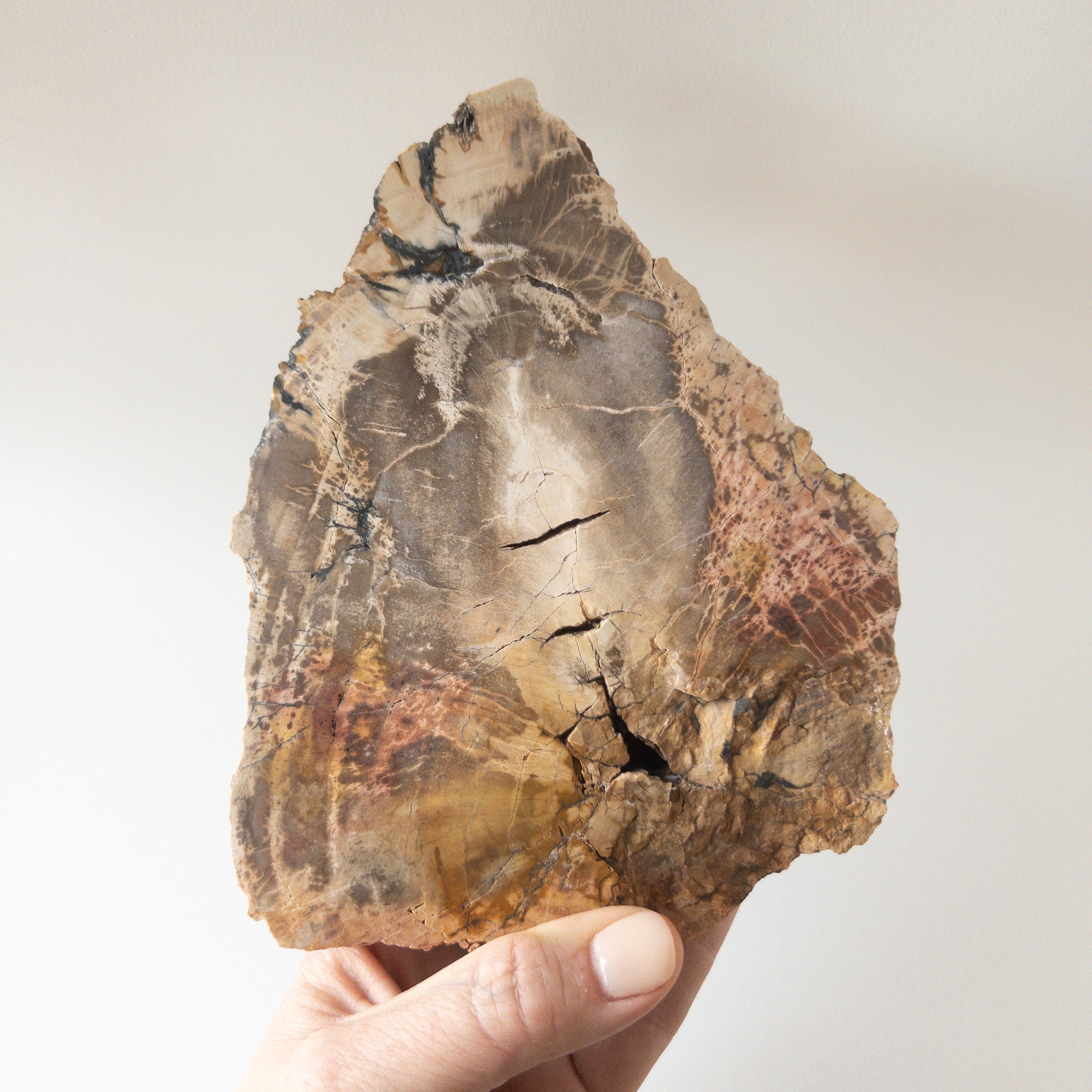 Wonder Rocks & Minerals