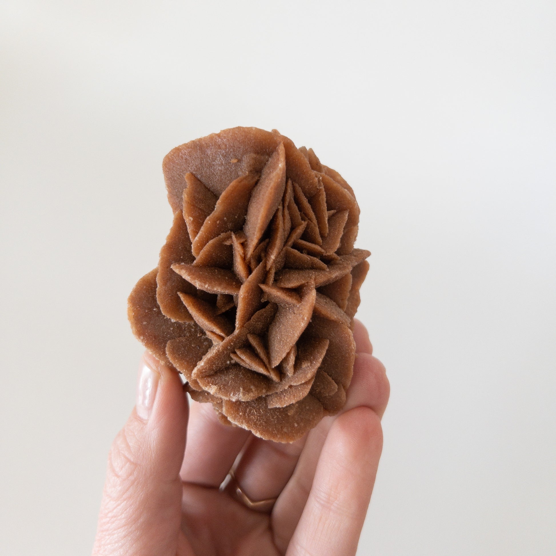 Desert Rose Cluster from Australia – Wonder Rocks & Minerals